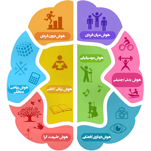 تست هوش چندگانه گاردنر، استعدادیابی بر اساس نظریه گاردنر، هوشهای چندگانه